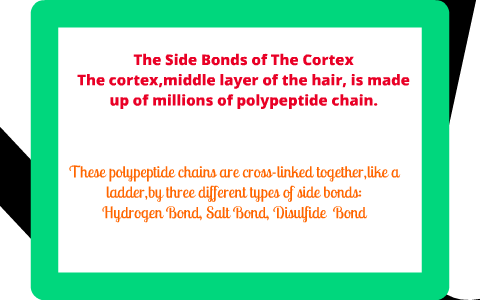 Side Bonds of the Hair by gregory brassel on Prezi