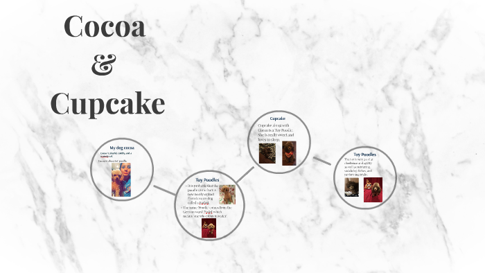 Cocoa and Cupcake by Kyleigh Copeland on Prezi