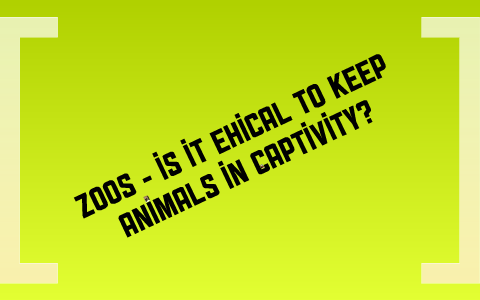 Is it ethical to keep animals in zoos? by Sydney and Lindsey Catts and ...