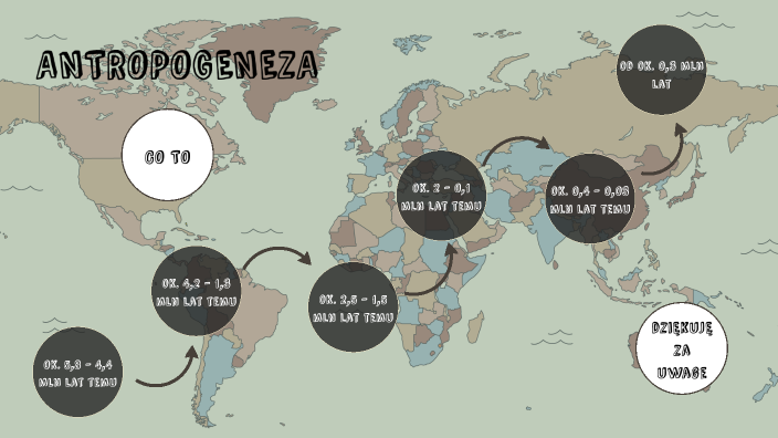 ANTROPOGENEZA by Magda Namhco on Prezi