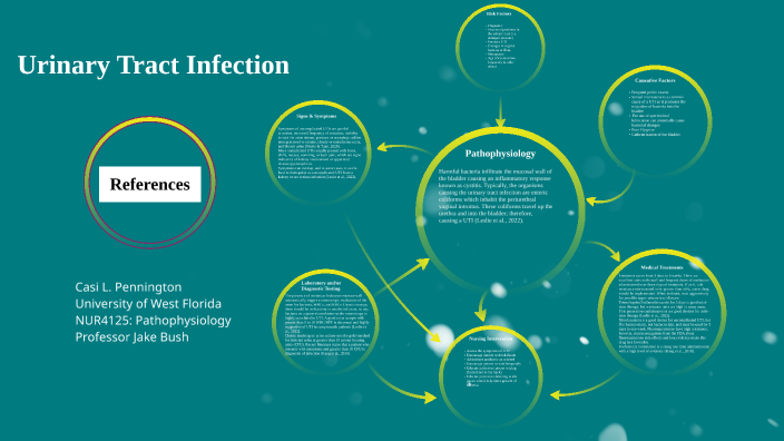 UTI Concept Map by Casi Pennington on Prezi