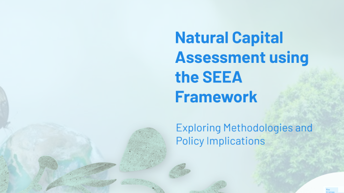 Natural Capital Assessment using the SEEA Framework by Madawa ...