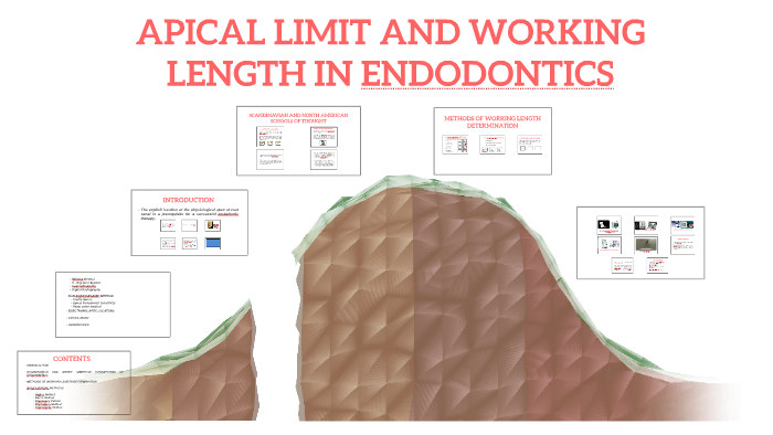 APICAL LIMIT AND WORKING LENGTH IN ENDODONTICS by Harsha Gwalani on Prezi