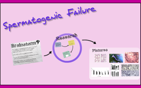 Spermatogenic Failure by Estephania Alvarez on Prezi