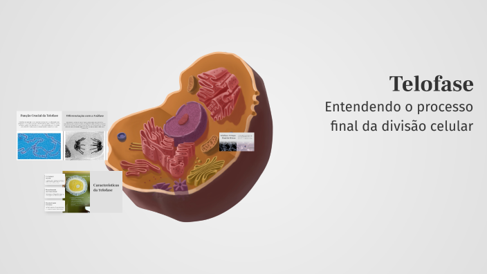 Telofase by ISLAIDIS PARA MATÉRIA ESCOLAR on Prezi