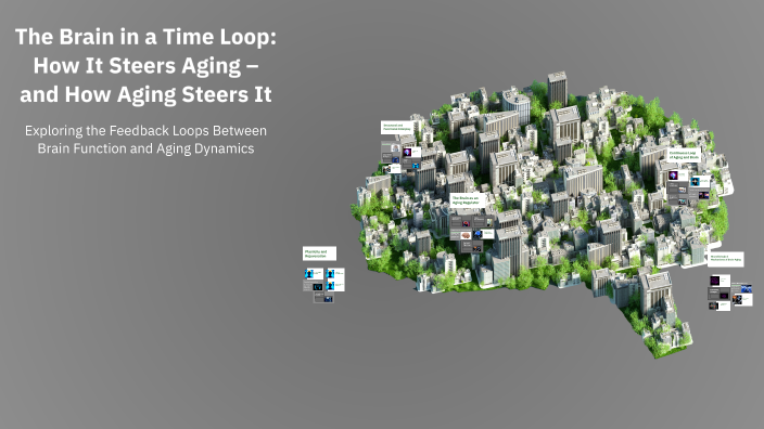 The Brain in a Time Loop: How It Steers Aging – and How Aging Steers It ...