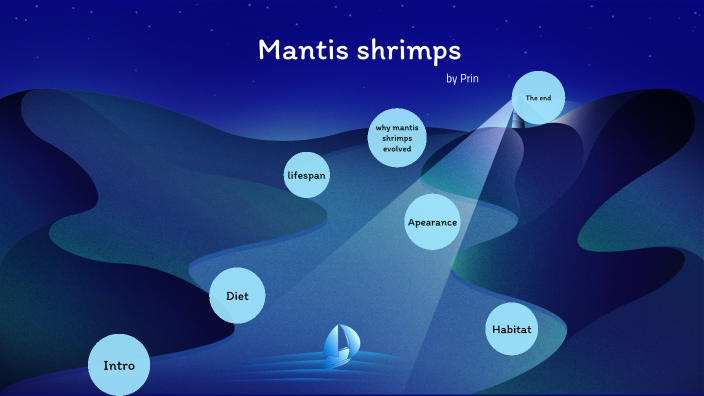 Mantis shrimp by Prin Pongboriboon on Prezi