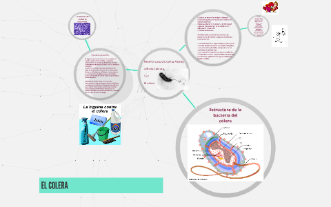 EL COLERA by alberto custodio on Prezi
