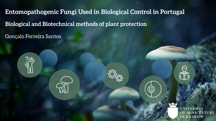 Entomophagous Nematodes Used in Biological Control in Portugal by ...