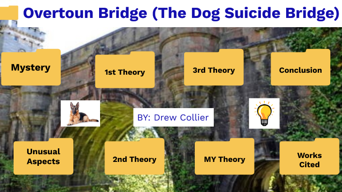 The Overtoun Bridge by Drew Collier on Prezi