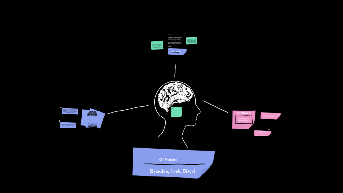 Cst principle by Brandon Robles on Prezi