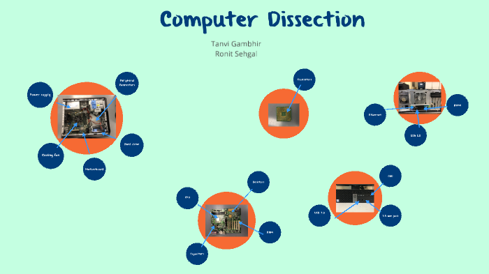 Computer Dissection by Tanvi Gambhir on Prezi