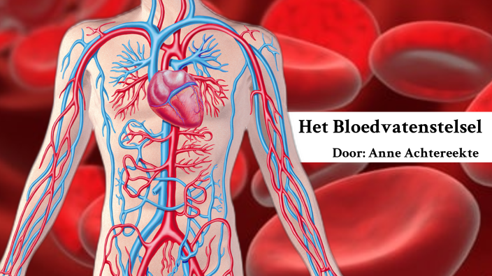Presentatie bloedvatenstelsel by Anne Achtereekte on Prezi
