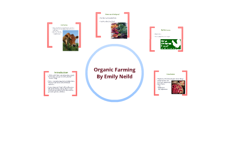 informative speech by Emily Neild on Prezi