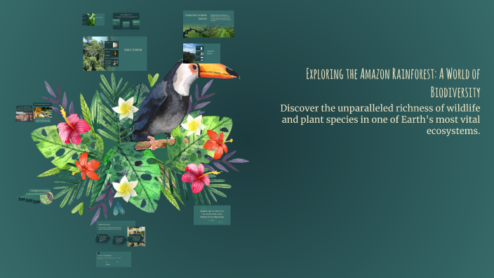 Exploring the Amazon Rainforest: A World of Biodiversity by Bikila Bayu ...