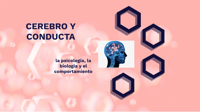 CEREBRO Y CONDUCTA by salomé Álvarez Vásquez on Prezi