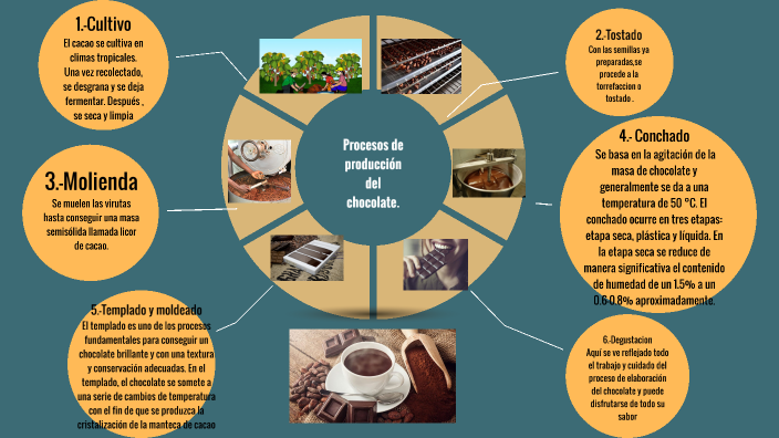 Proceso de producción del chocolate by Jorge Patricio Montesdeoca Ochoa ...