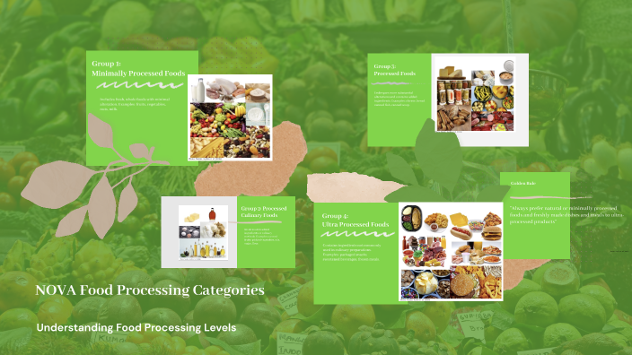 NOVA Food Processing Categories by Suzanne Willyerd on Prezi