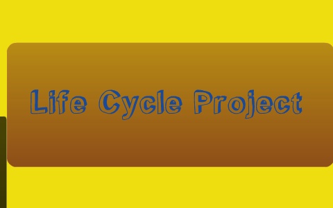 Life cycle by Nick Taffe on Prezi