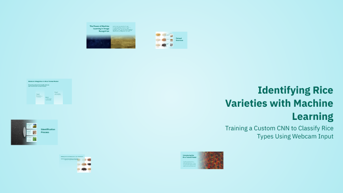 Identifying Rice Varieties with Machine Learning by Matthew Tan Meng on ...