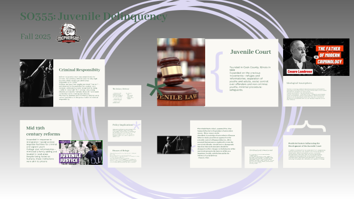 SO355: Juvenile Delinquency by Laura Hultquist on Prezi