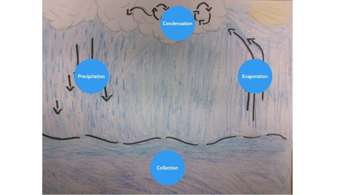 BST Cycle by Su Hlaing on Prezi