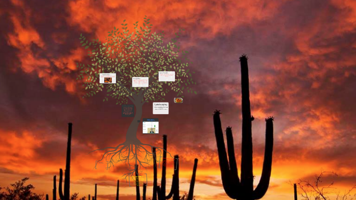 Sustainable Guest Village in the Saguaro National Park by Sadie Spahn