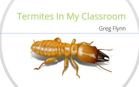 Termites In My Classroom by Greg Flynn on Prezi Next