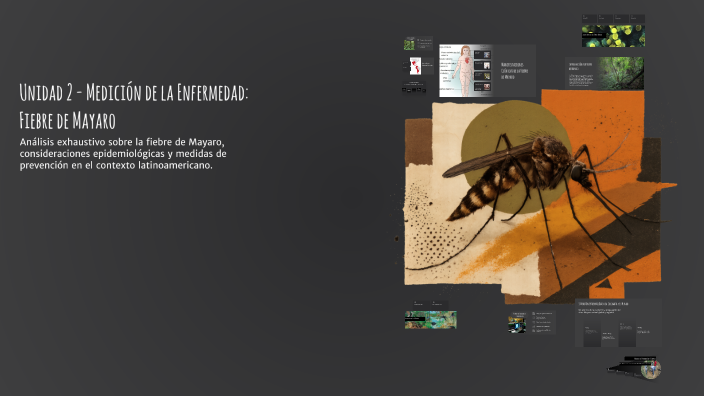 Unidad 2 - Medición de la Enfermedad: Fiebre de Mayaro by Ale Plaza on ...