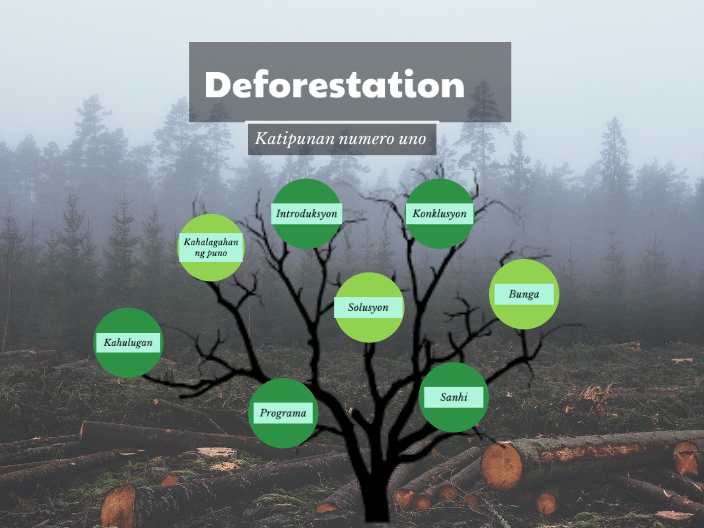 Deforestation by Irene Nicster on Prezi