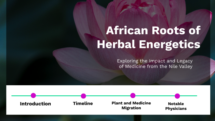 African Roots of Herbal Energetics by Seed Soil on Prezi