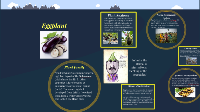 Eggplant Presentation by Jon Kaufman on Prezi