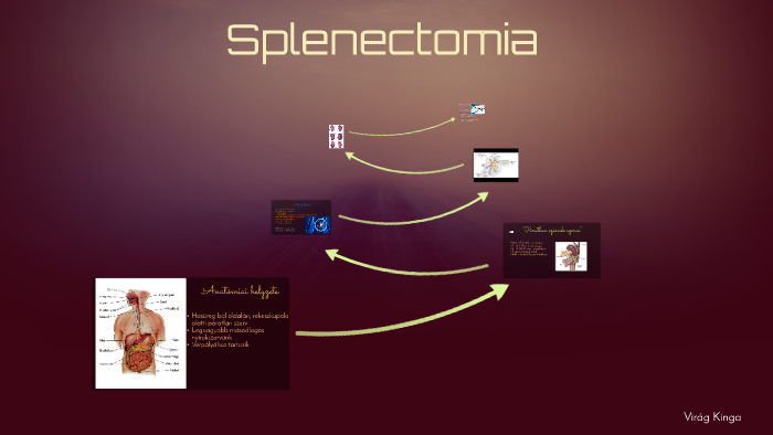 Splenectomia by Kinga Virág on Prezi