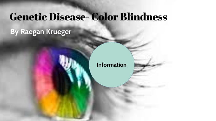 Color Blindness- Biology 10 by Raegan Krueger on Prezi