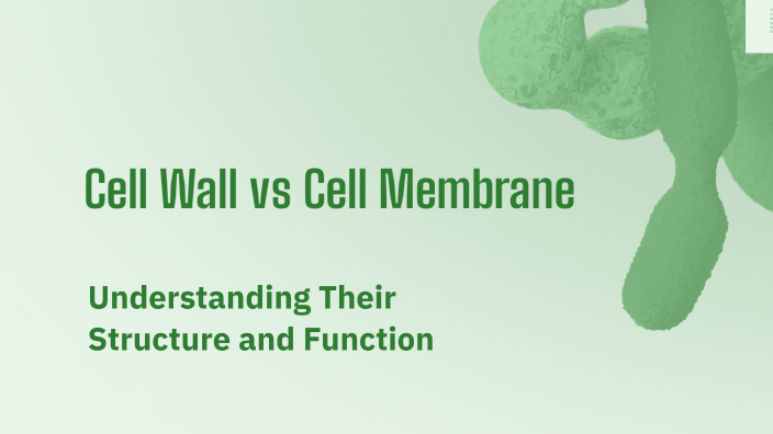 Cell Wall vs Cell Membrane by Precius Yvannah Cabias Fabico on Prezi