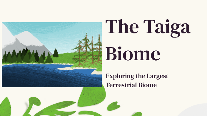 The Taiga Biome by Zariah Thomas on Prezi