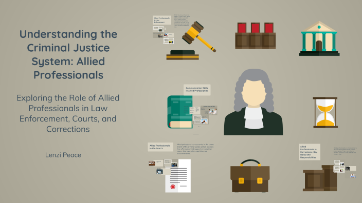 Understanding the Criminal Justice System: Allied Professionals by ...