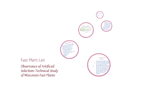 Fast Plant Lab by Emalie McMahon on Prezi