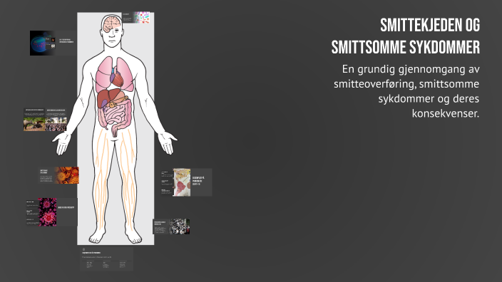 Smittekjeden og smittsomme sykdommer by Mahnoor Hanif on Prezi