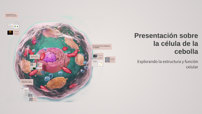Presentación sobre la célula de la cebolla by nayely sarai hinostroza ...