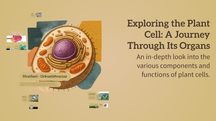 Exploring the Plant Cell: A Journey Through Its Organs by Eva Margrét ...