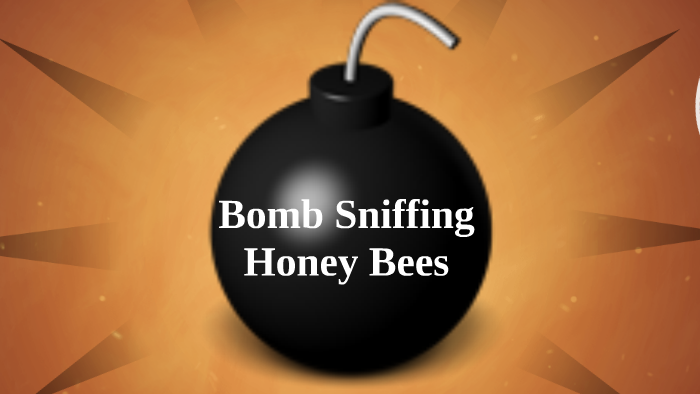 Bomb-Sniffing Honey Bees by Toni Morini on Prezi