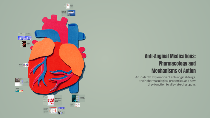 Anti-Anginal Medications: Pharmacology and Mechanisms of Action by ...