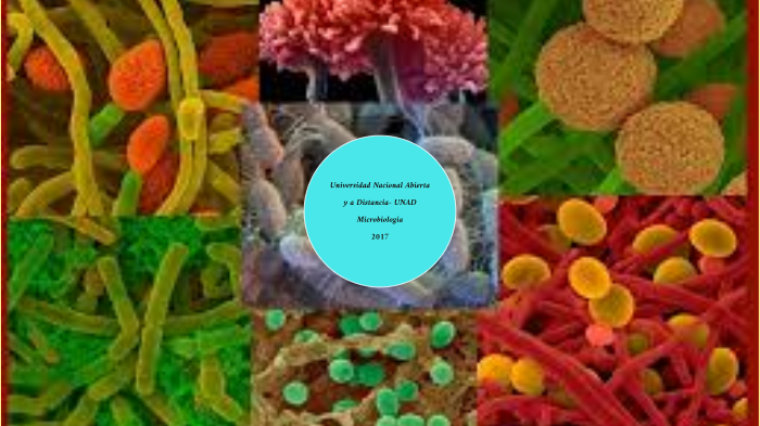 comunidades microbianas by gizet cepeda on Prezi