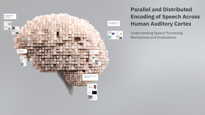 Parallel And Distributed Encoding Of Speech Across Human Auditory Cortex By Muhammad Nadeem On Prezi