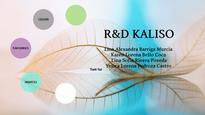 R&D KALISO by Kaliso R&D on Prezi