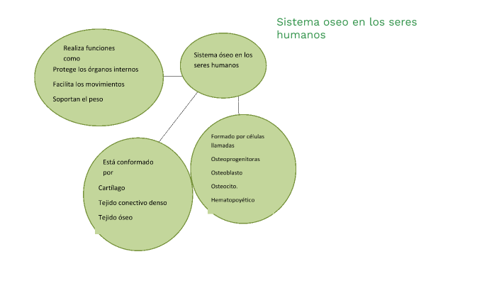 esquema radial by Valeria Urrea on Prezi