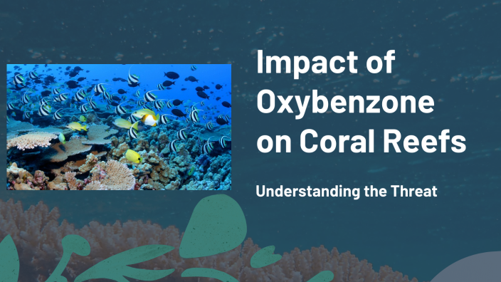 Impact of Oxybenzone on Coral Reefs by haylee cook on Prezi