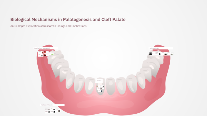 Biological Mechanisms in Palatogenesis and Cleft Palate by ابراهيم رشاد ...