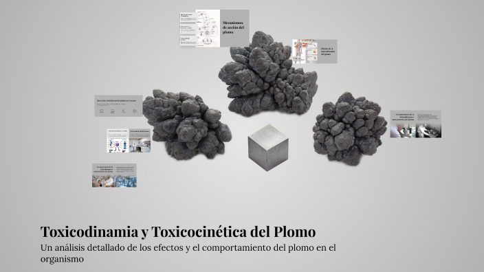 Toxicodinamia y Toxicocinética del Plomo by GBOH HOBG on Prezi